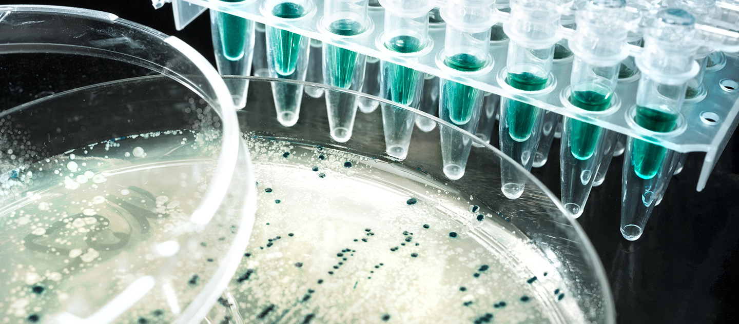 Focus, build, deliver: the healthy approach to life sciences - Mercia